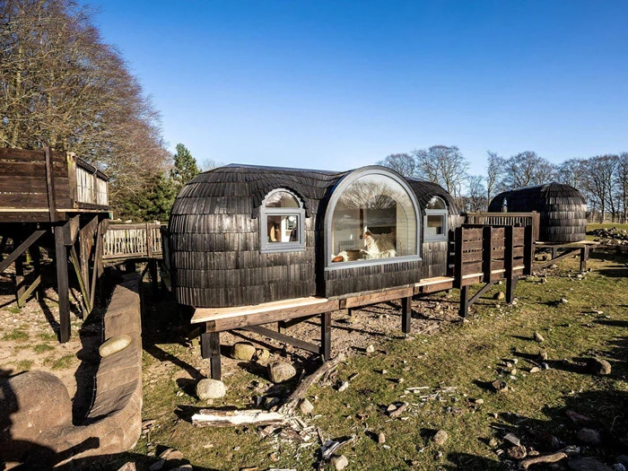 Unik oplevelse: Night Explorer-ophold for 4 personer i Ree Park